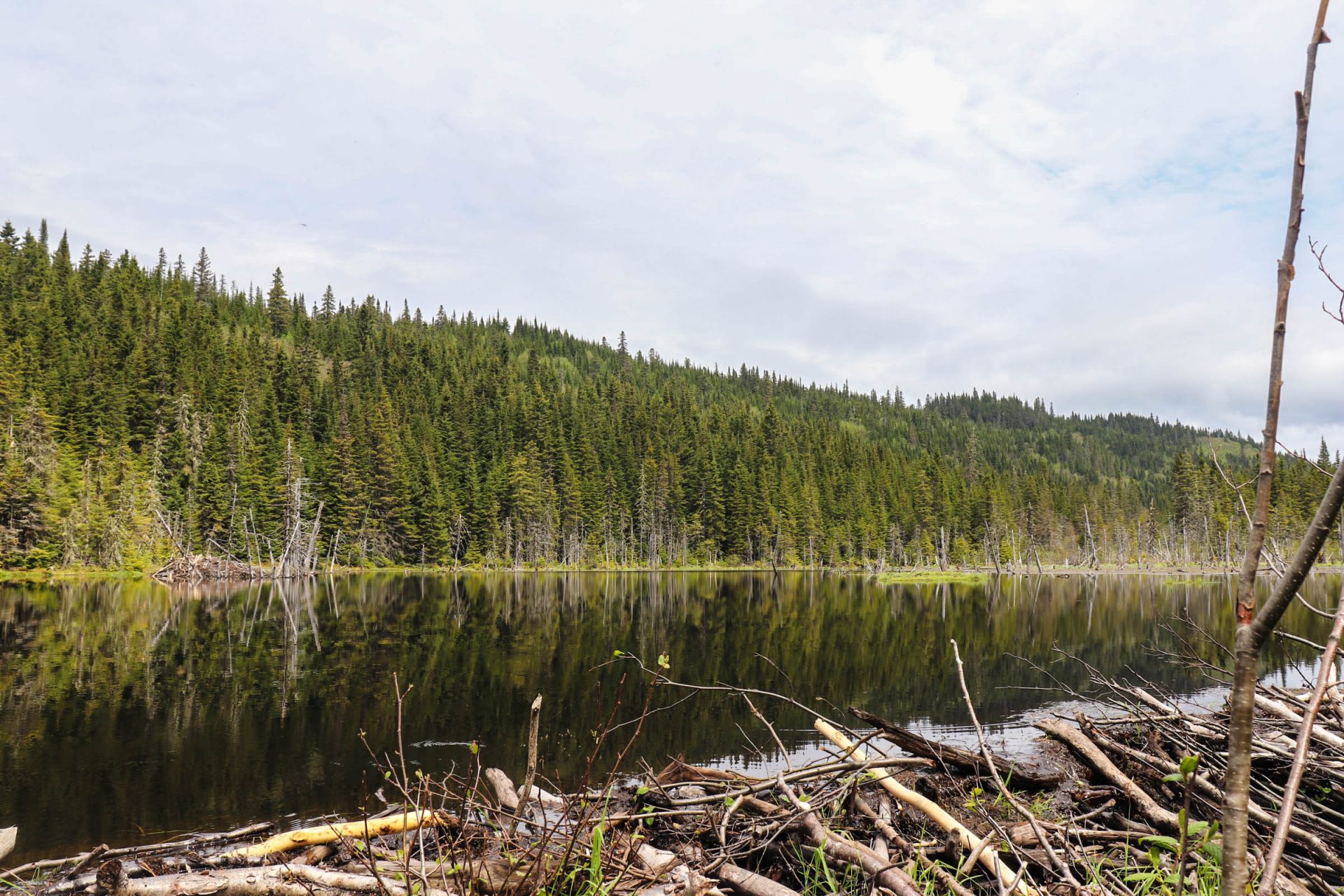 Le Scotora, randonnée au parc Jacques Cartier au Québec